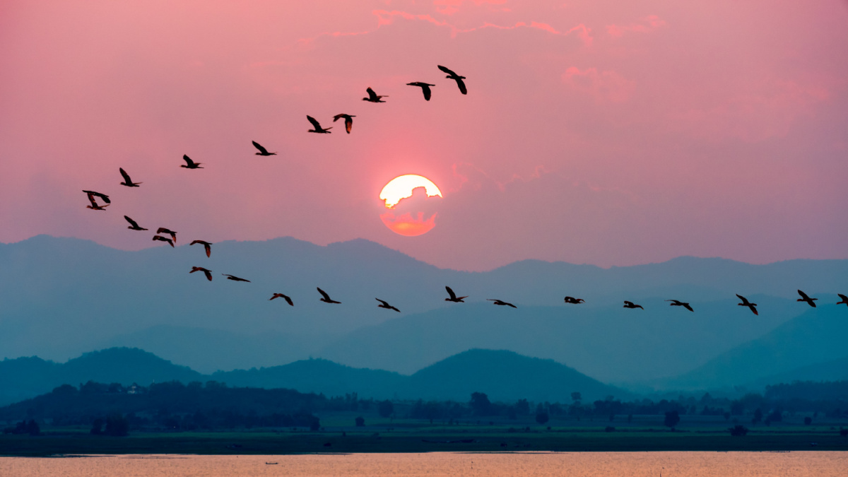 Reverse cloud migration: Why companies move away from the cloud | i3D.net