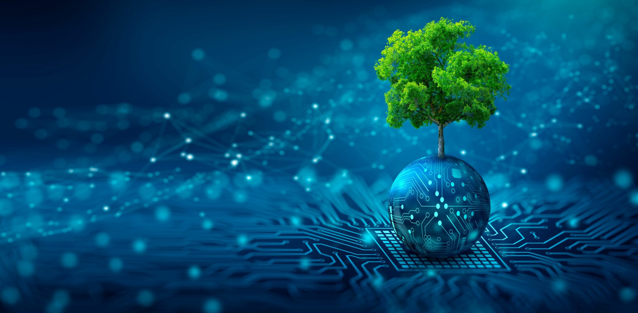 A Sensible Path to Green Computing | i3D.net